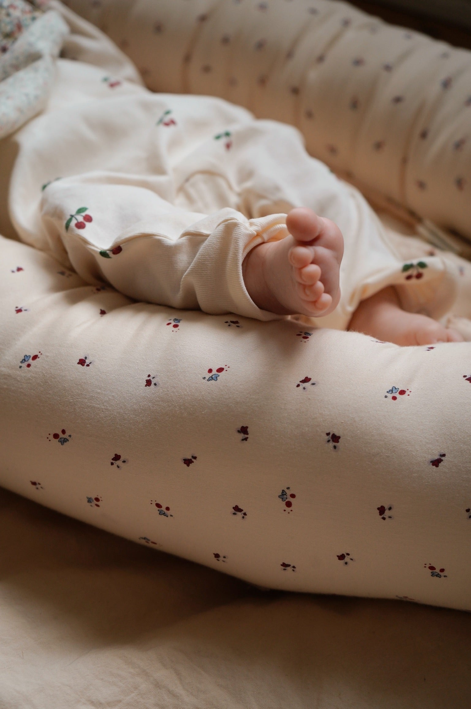 babynest – kongessloejd.dk